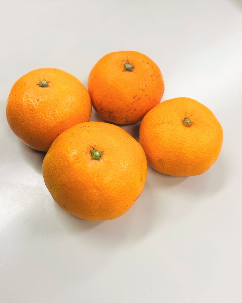 Kotatsu and Mikan | Blog | Study Japanese in Japan - YIEA Tokyo Academy